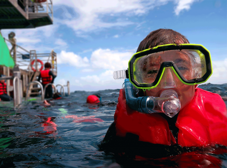 Water Sensitive Urban Design (WSUD) - Water by Design