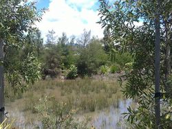 Water Sensitive Urban Design (WSUD) - Water by Design